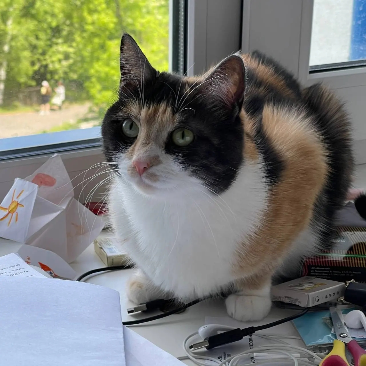 Summertime | Scrolller