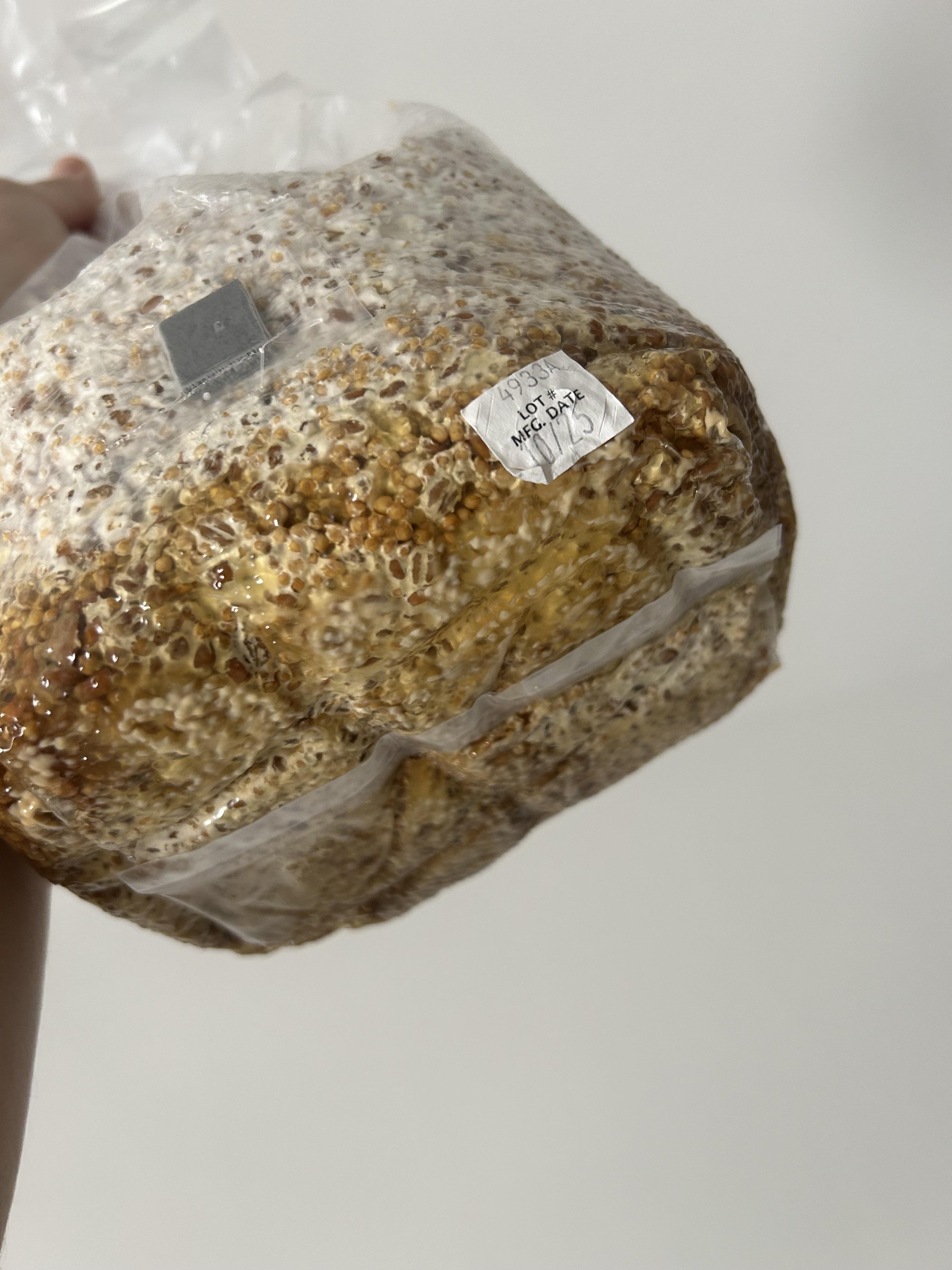 Is this mold? | Scrolller