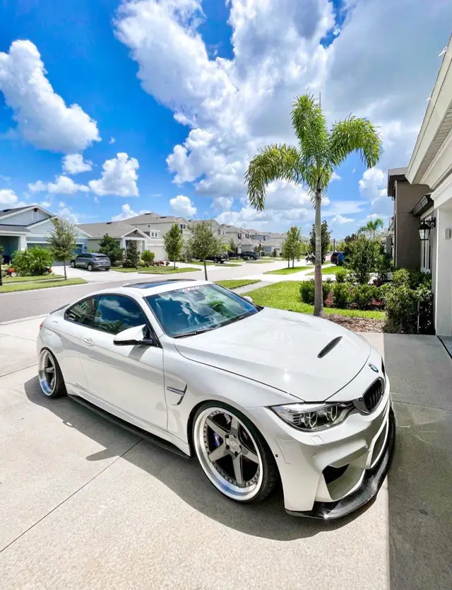 Always looking back, even just in the driveway | Scrolller