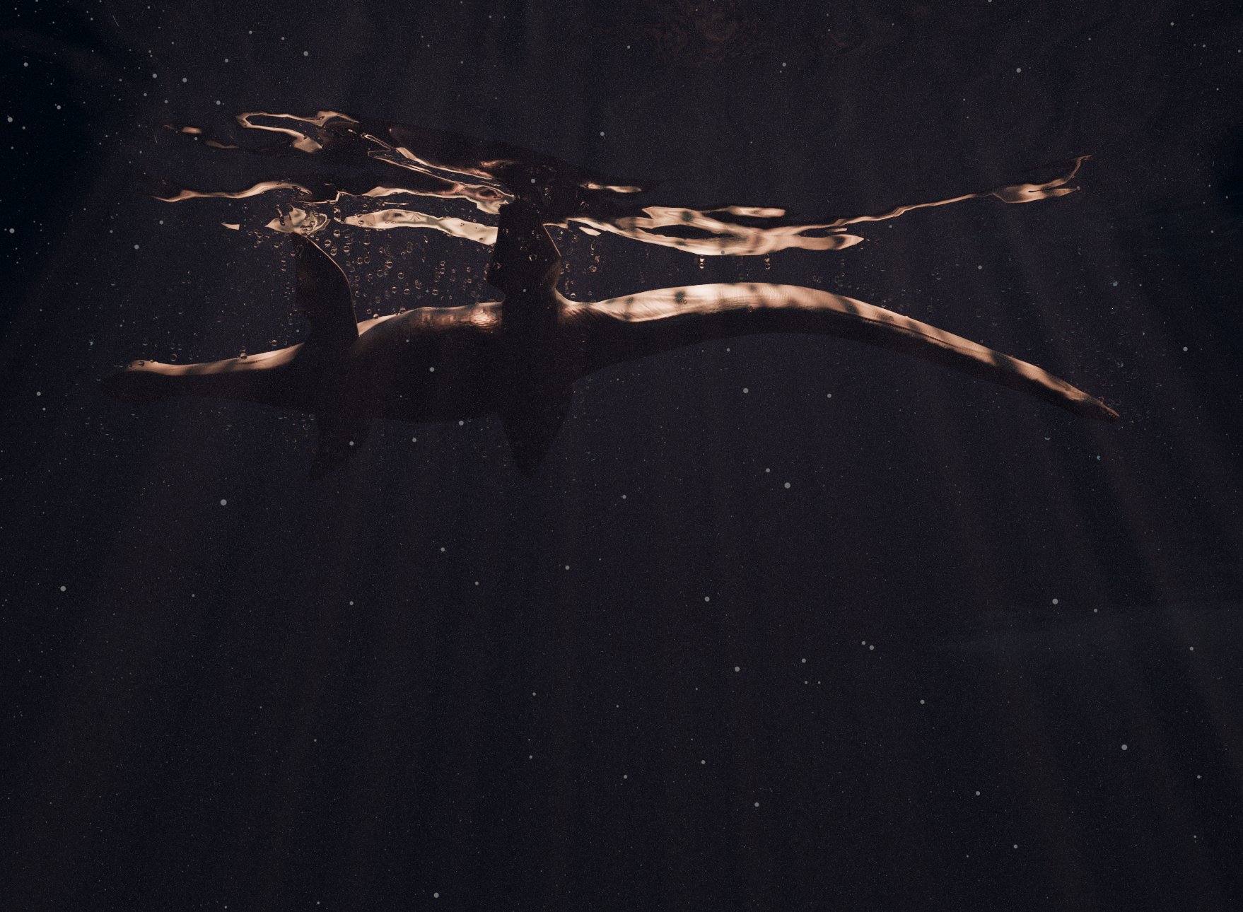 [OC] A Hydrotherosaurus basks in the Cretaceous moonlight | Scrolller