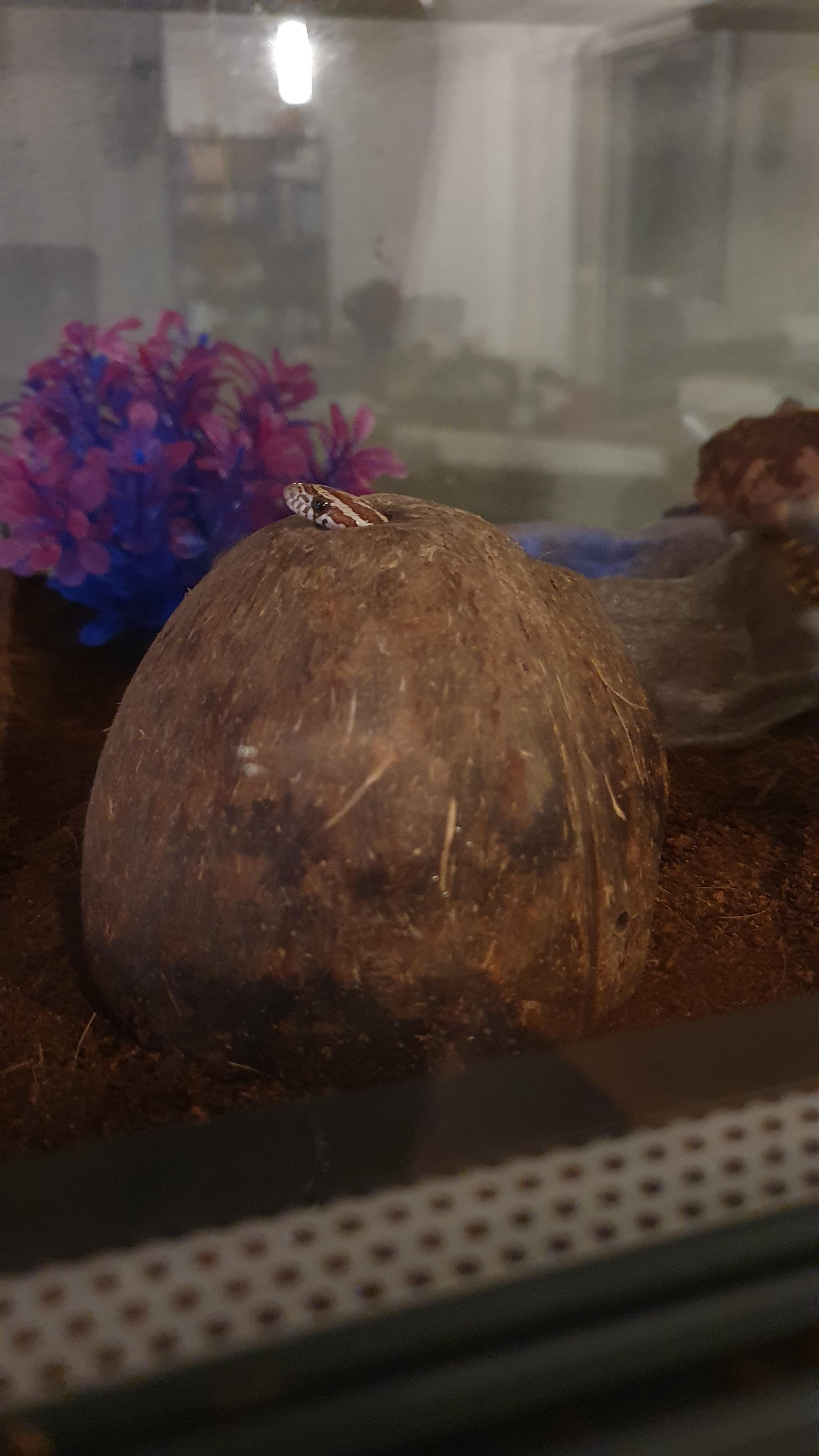 Stop scrolling and look at my noodle | Scrolller