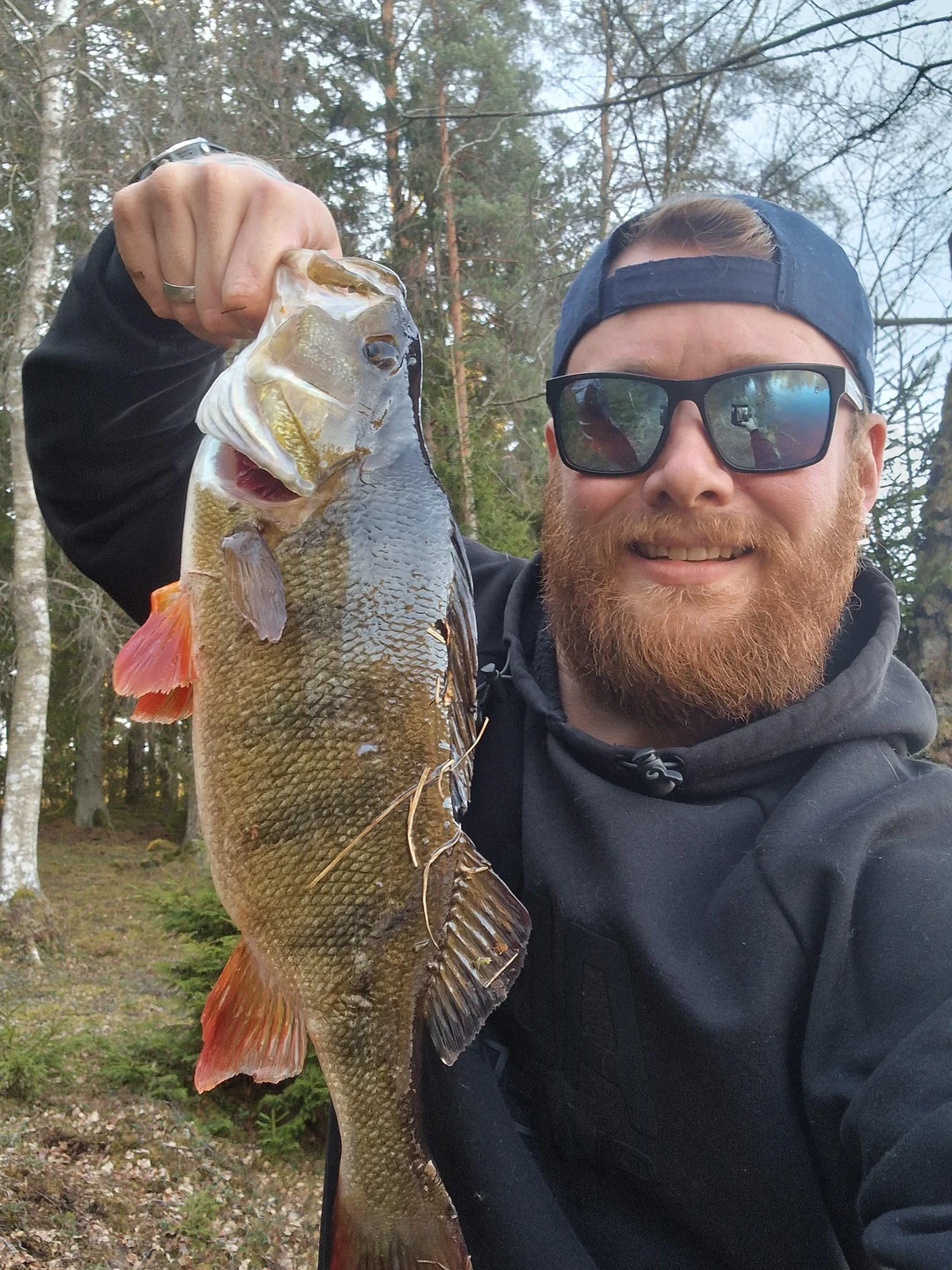 First perch of the year and it was a new lenght PB of 42cm | Scrolller