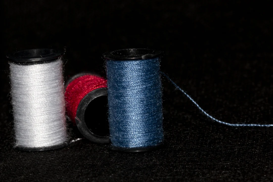 One of my first macro photos | Scrolller