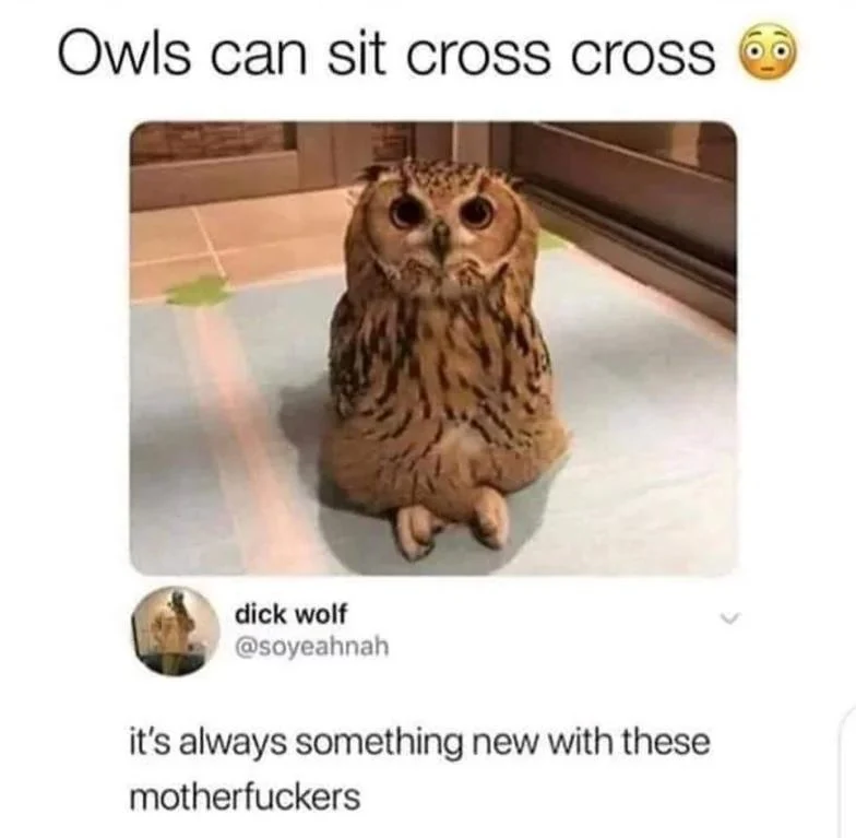 It’s sitting, just not criss-cross | Scrolller