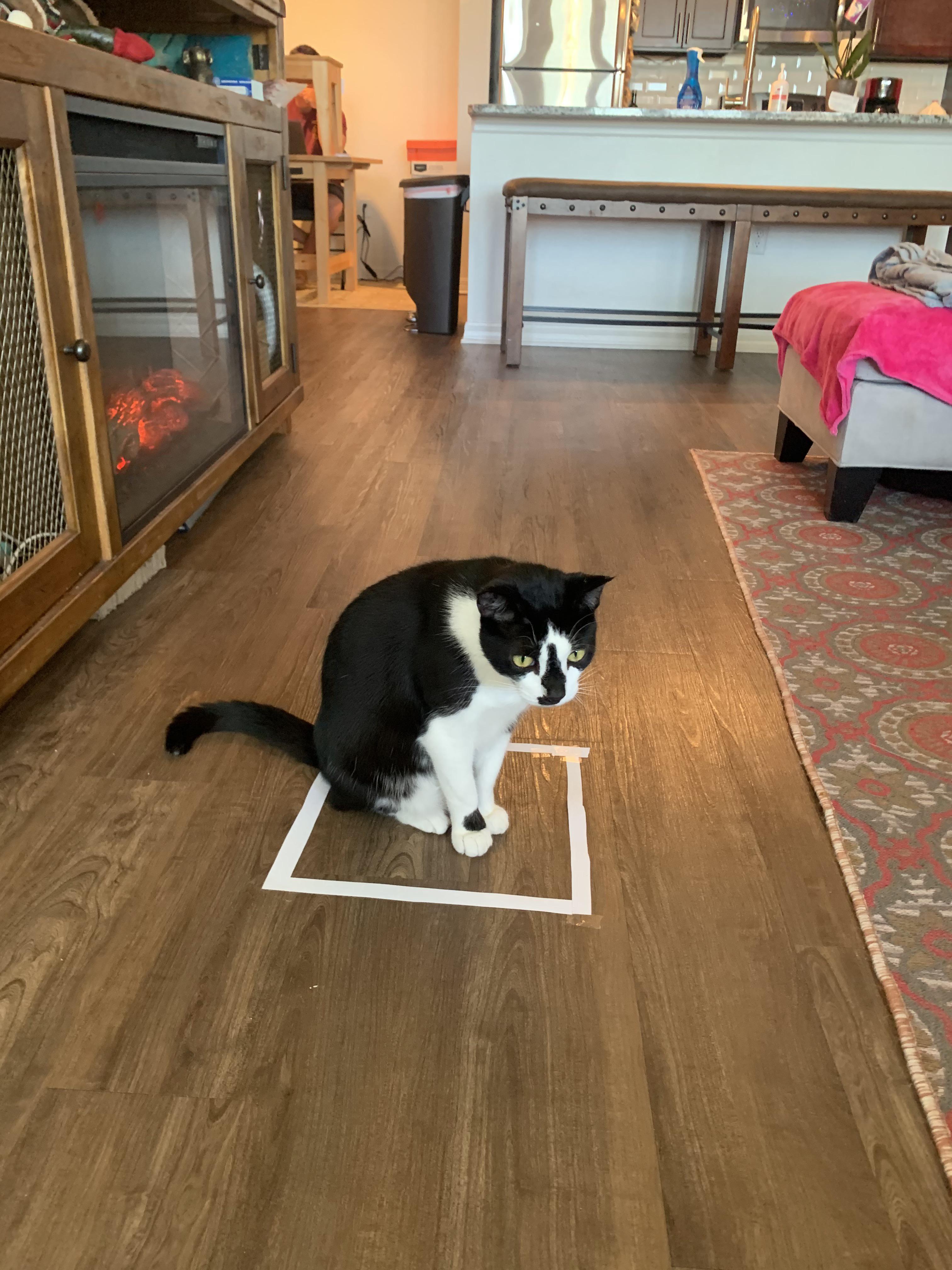 He understood the assignment | Scrolller