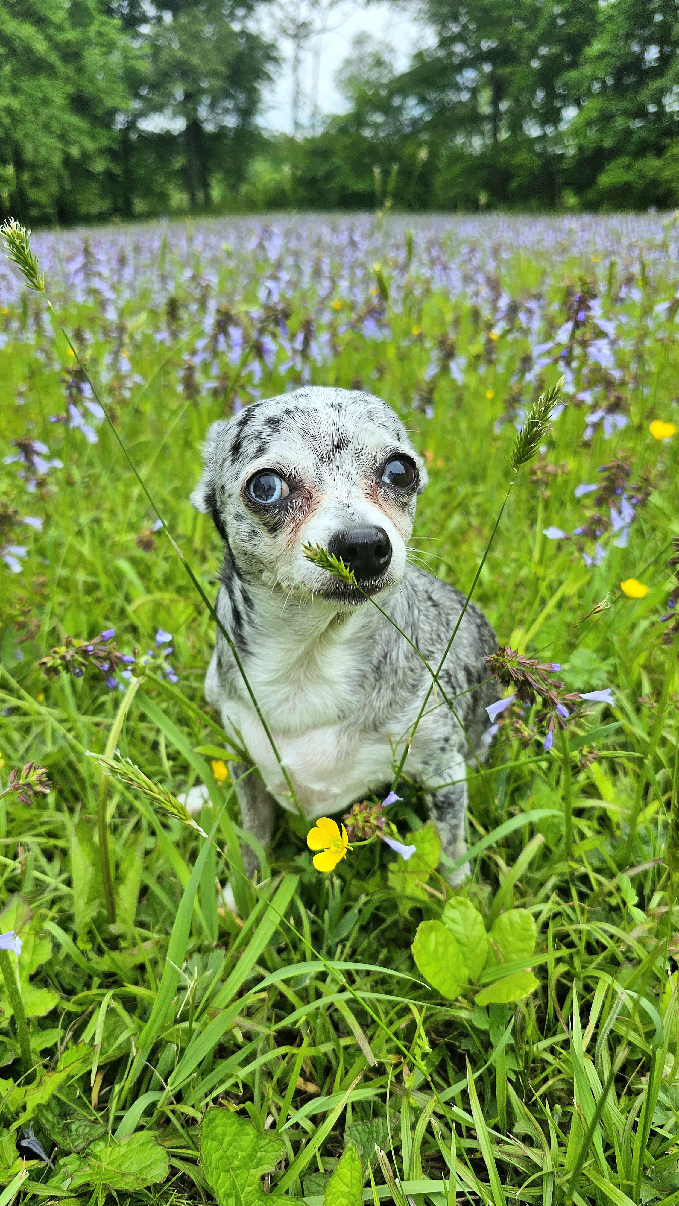 My 2 girls tried their best at an impromptu photo shoot... bless their hearts! | Scrolller
