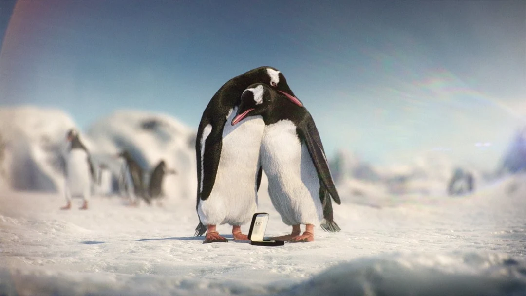 Penguins by Andres Weber | Scrolller