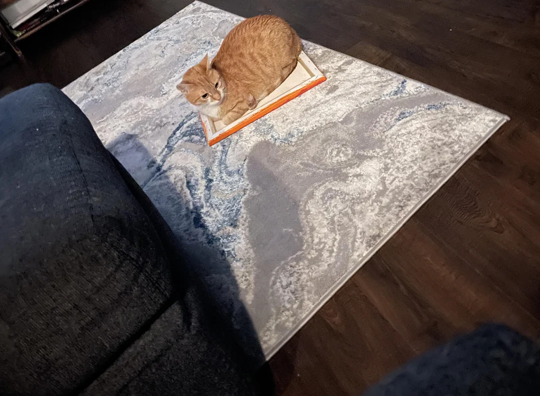 Small cheese loaf | Scrolller