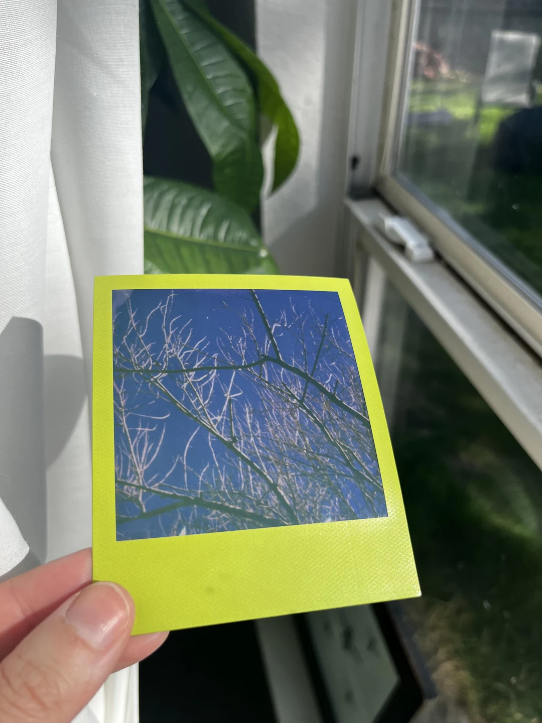 These frames are a fun little surprise | Scrolller