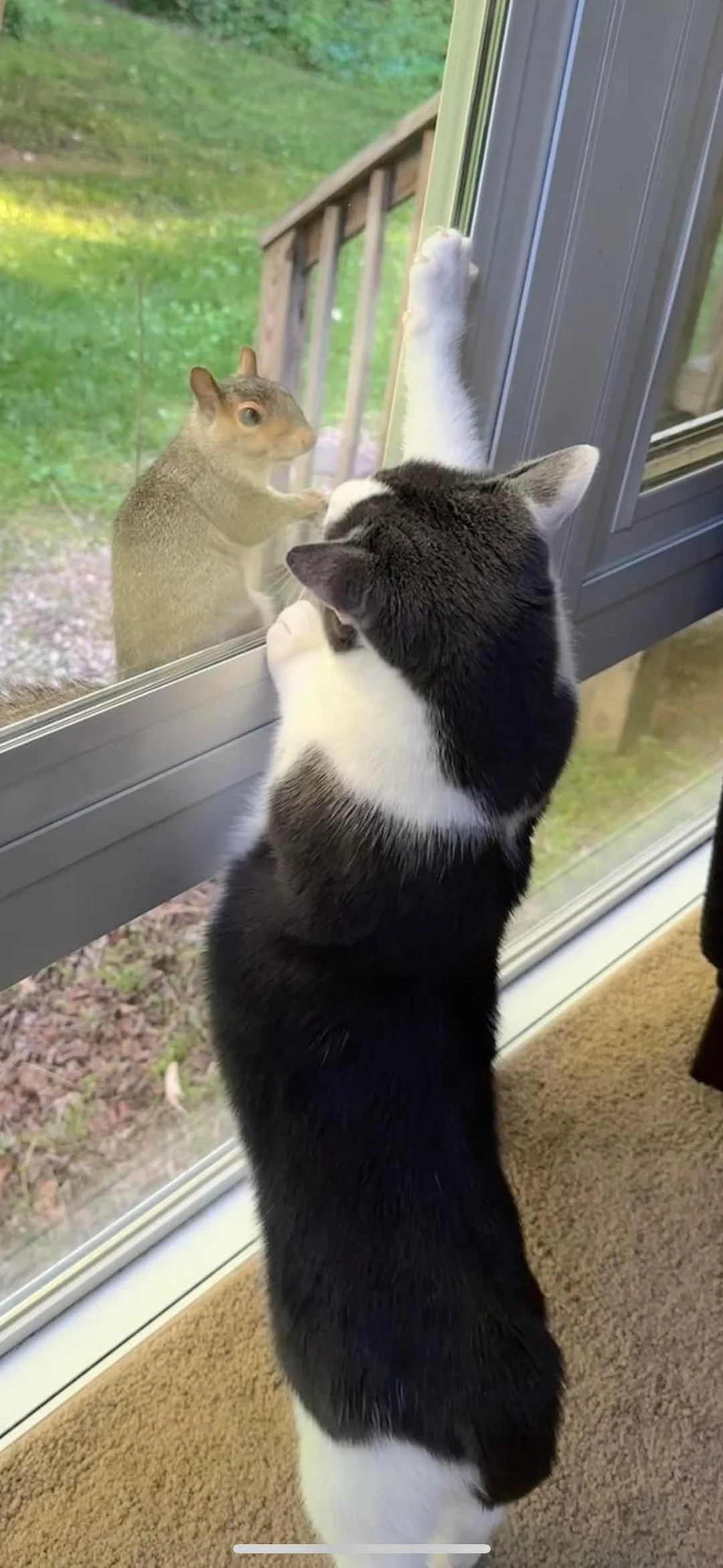 Why no scared? | Scrolller