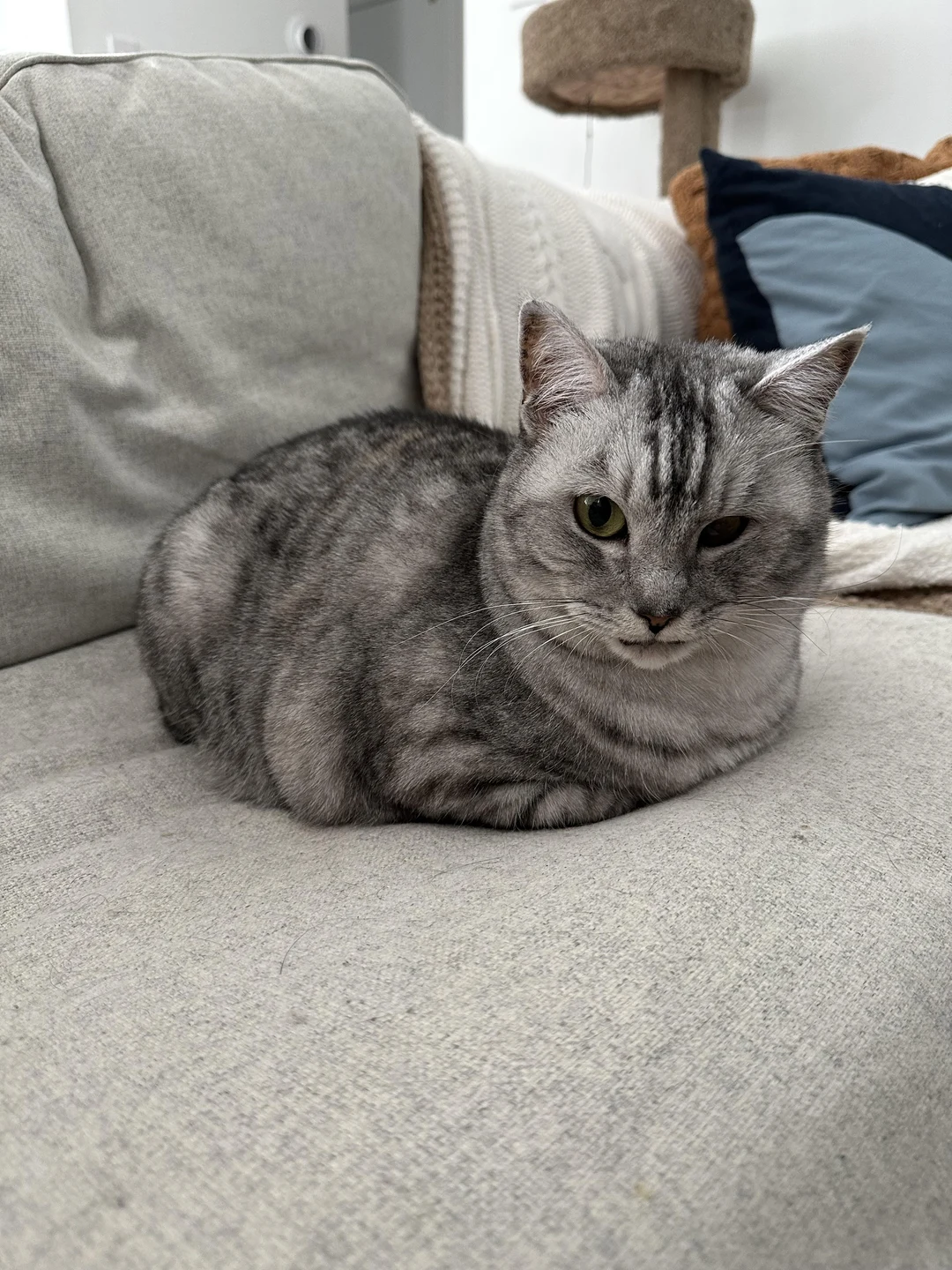 Freshly baked loaf | Scrolller