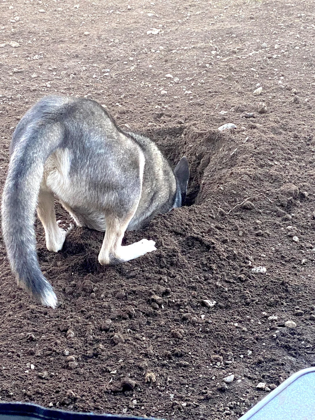 Digging to the center of the earth? | Scrolller