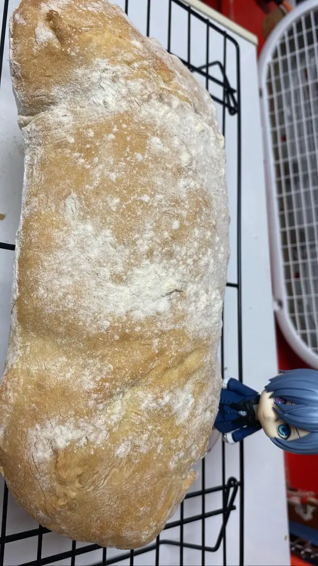 Ciabatta bread I made | Scrolller