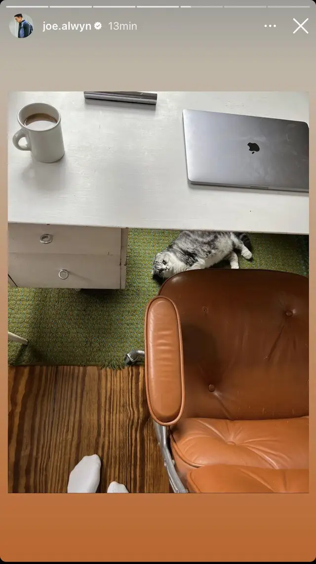 Joe Alwyn shares new pic of Meredith! | Scrolller