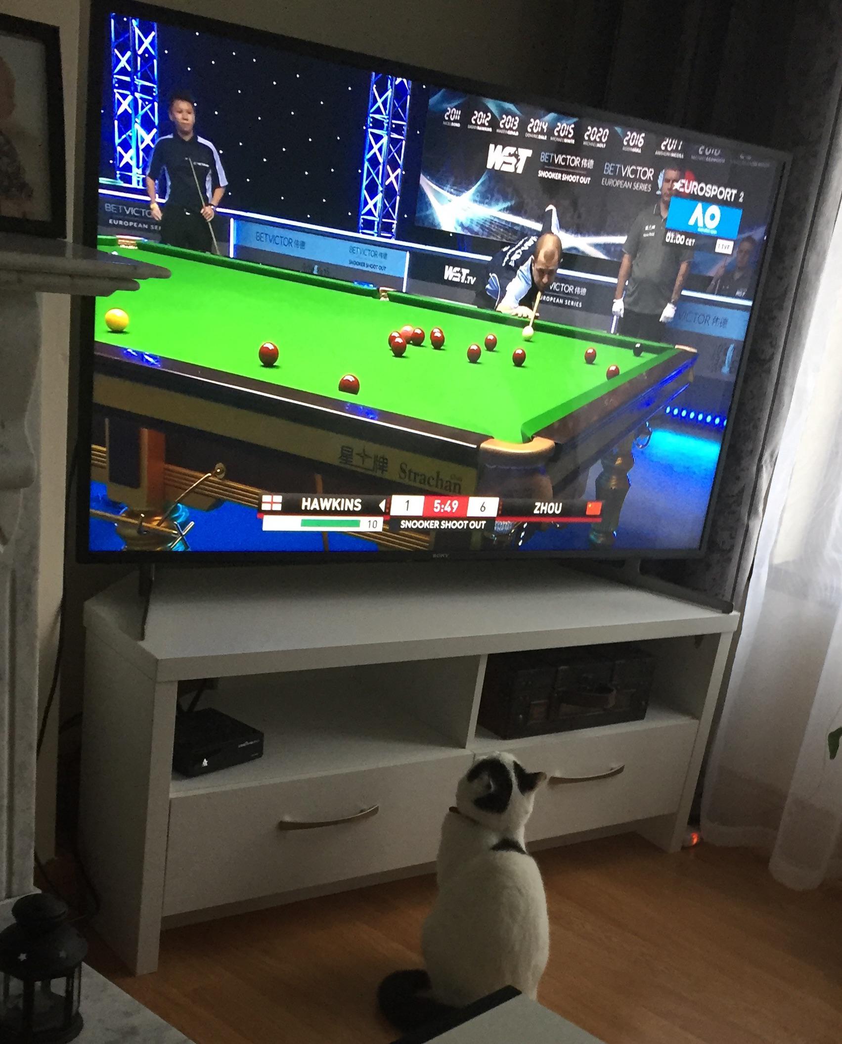 Here’s another picture of Susan before she died | Scrolller