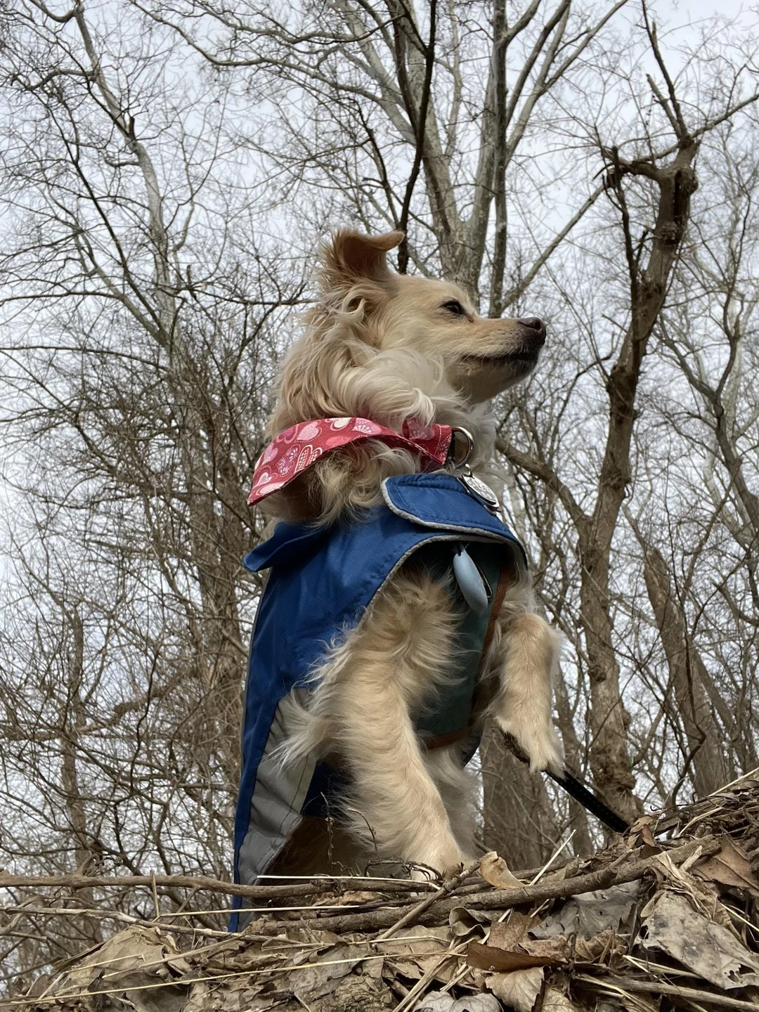 Finding Geocaches and looking handsome while doing so | Scrolller