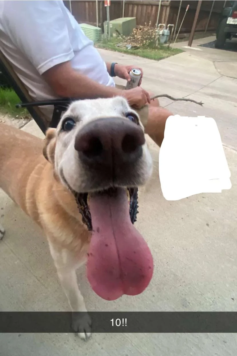 My stinky little boy turned 10 today! | Scrolller