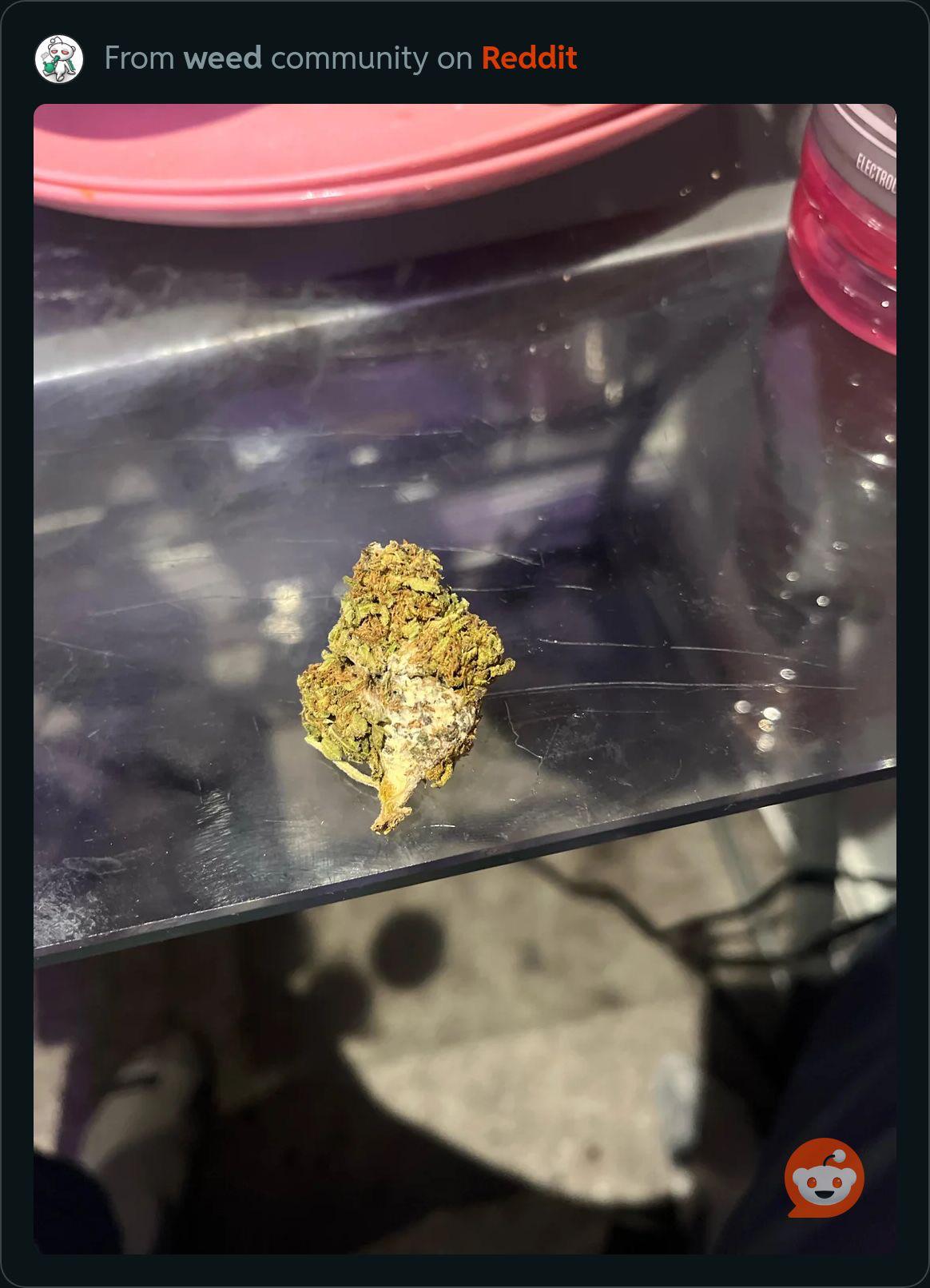 Is this white stuff mold? | Scrolller