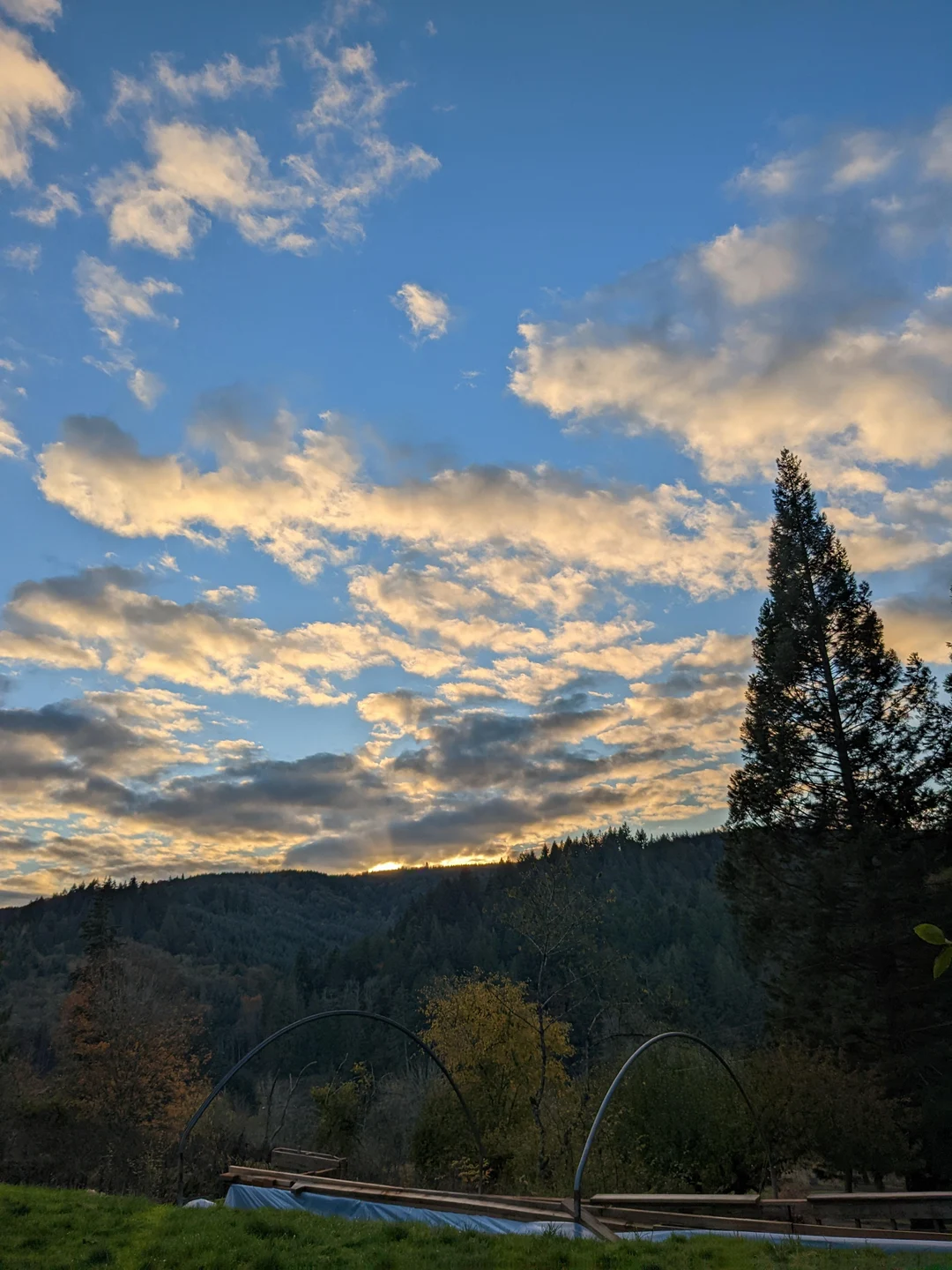 A very scenic view from yesterday | Scrolller