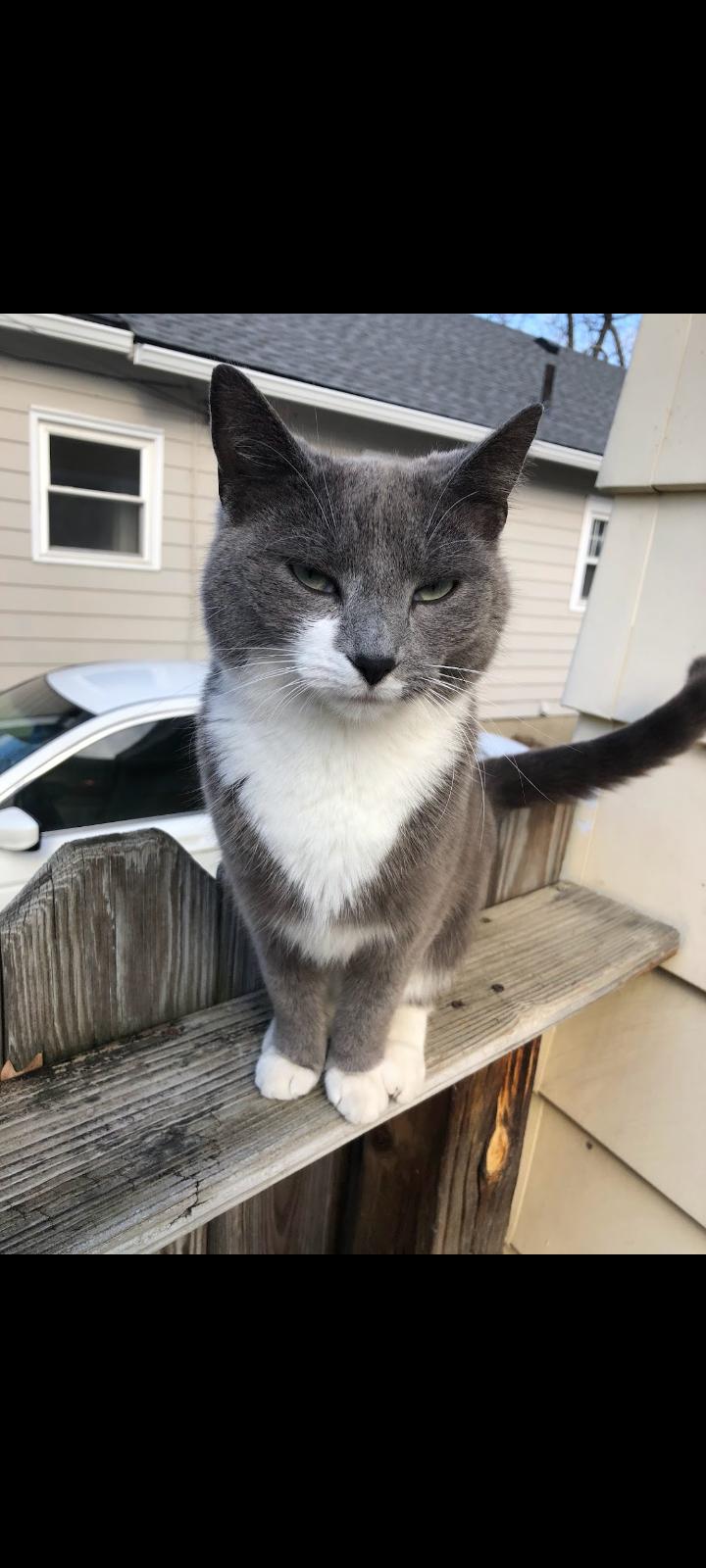 Judging me | Scrolller