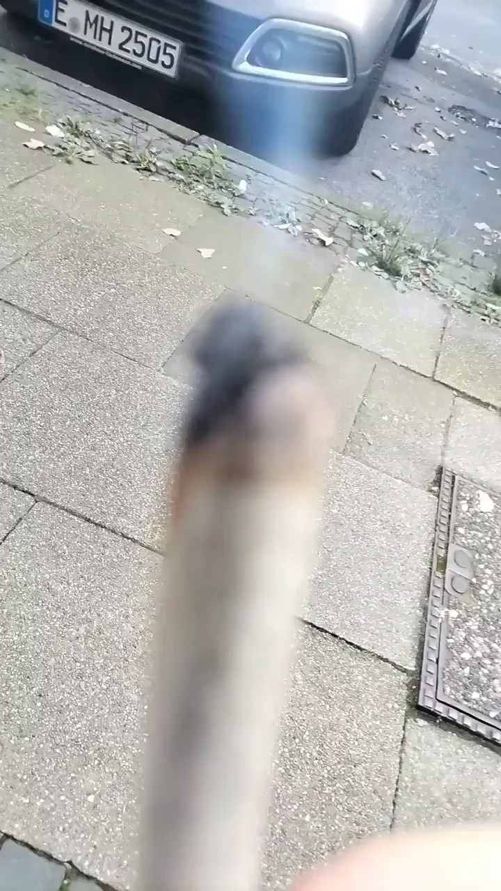 First joint i rolled | Scrolller