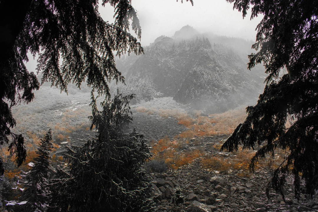 Mount Rainier National Park [OC] [6000x4000] [@photologlogy] | Scrolller
