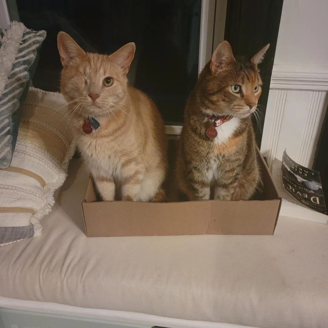 Grabbed two with the fresh trap | Scrolller