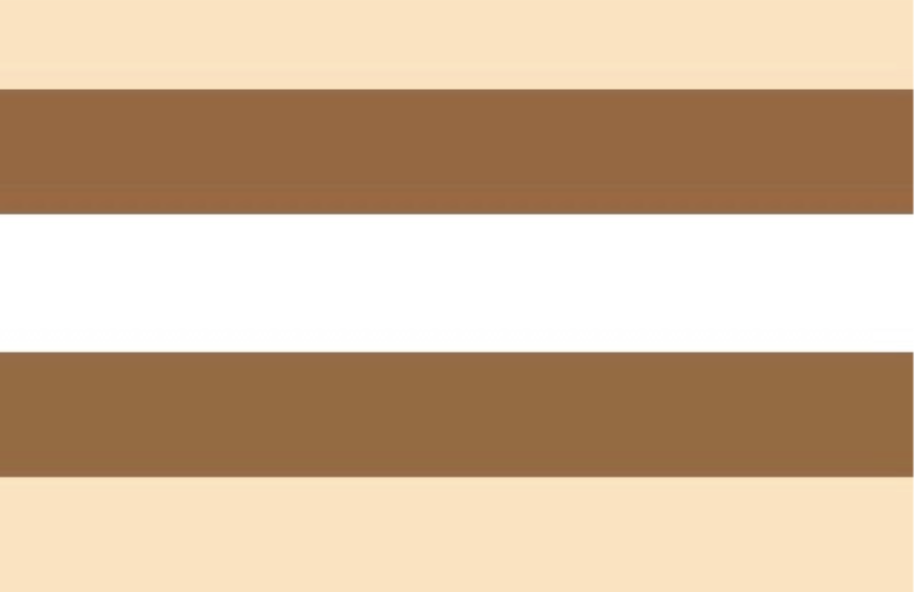 Transracial pride flag | Scrolller