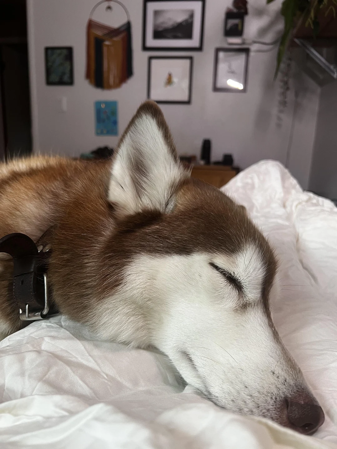 She’s not the biggest cuddler, so when she does, I savor it for as long as I can ️ | Scrolller