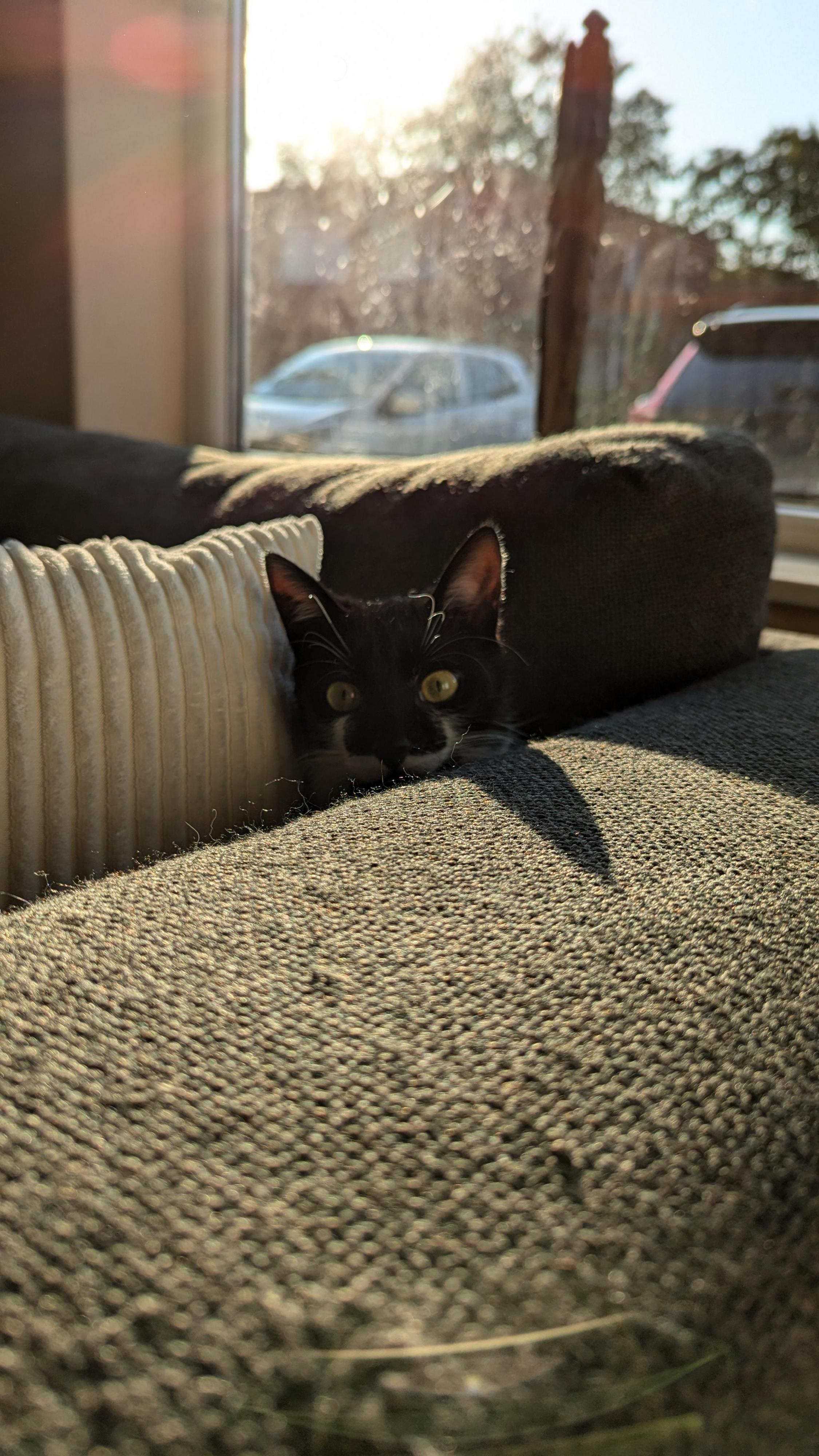 Is the monster vacuum gone yet? | Scrolller