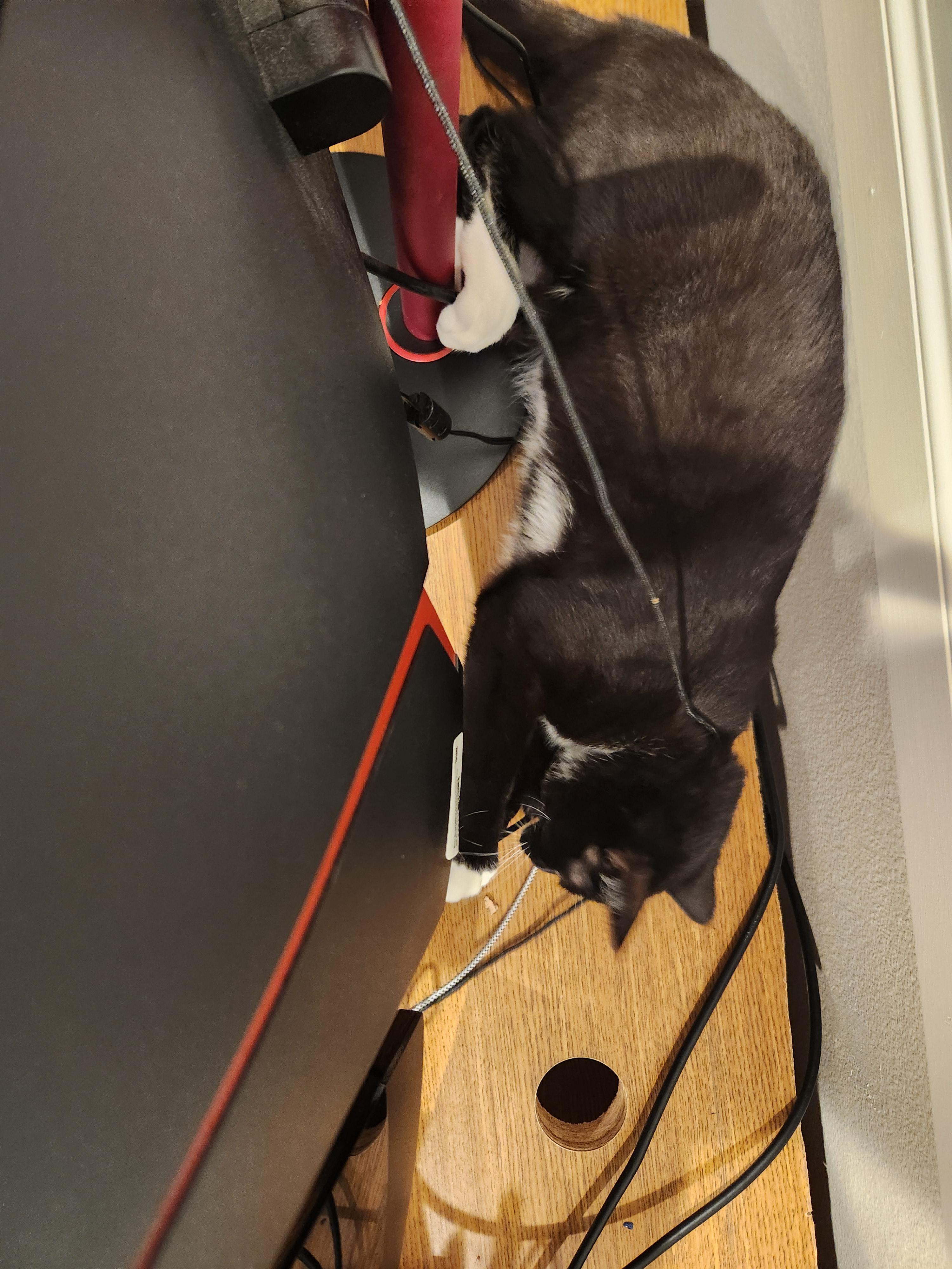 Caught at the scene of the crime | Scrolller