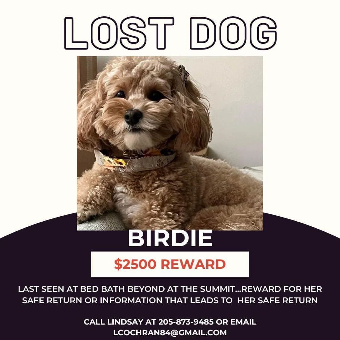 Please help find Birdie. Last seen at Bed Bath & Beyond at The Summit on 12/29. She is ...
