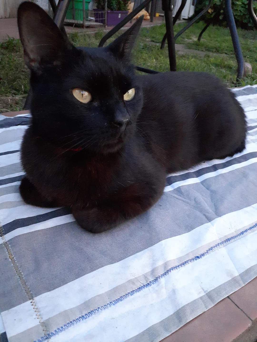 Burned loaf 🍞 | Scrolller