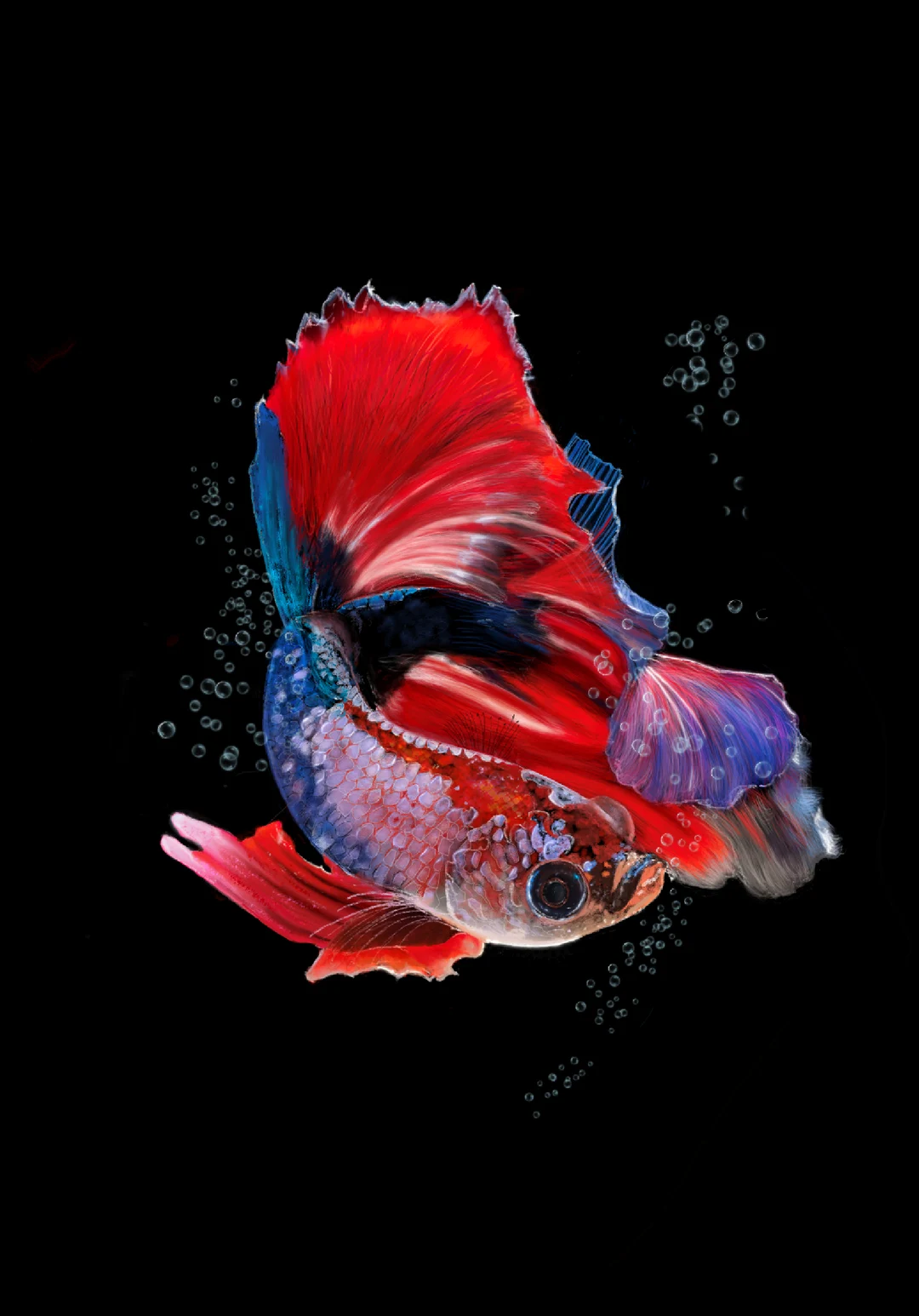 Mr Guppy, Nightlightxx (me), Digital, 2024 | Scrolller