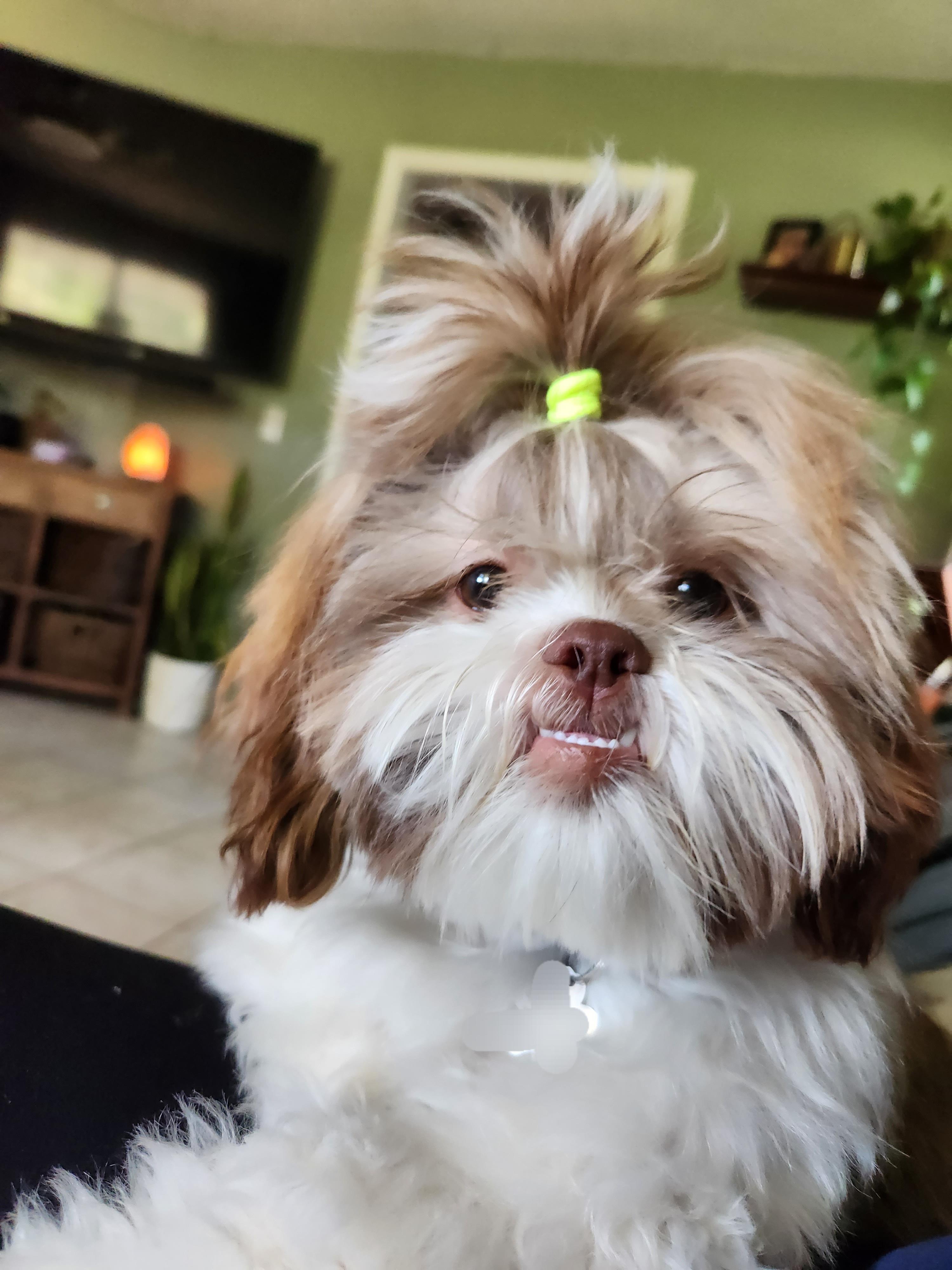 Snack inspector | Scrolller