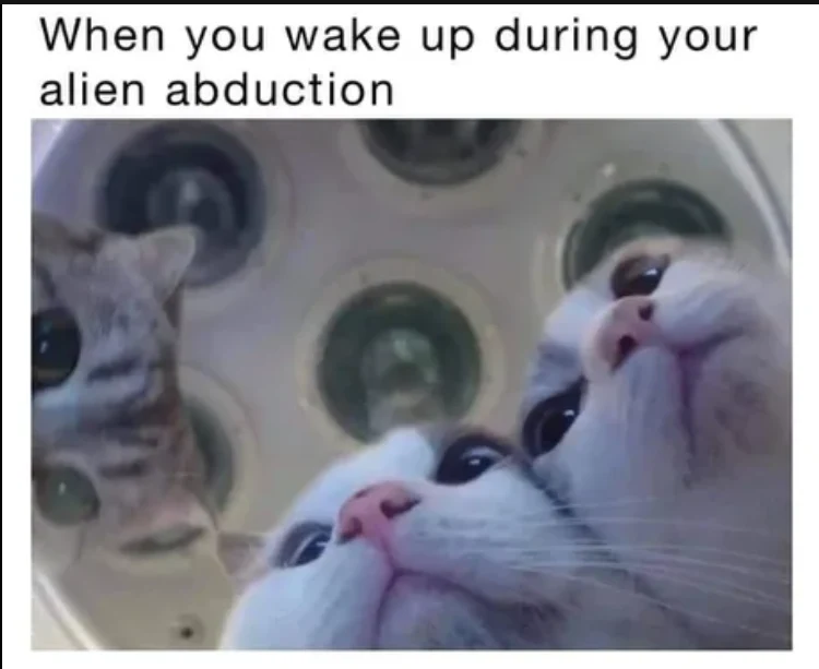 cats are aliens | Scrolller