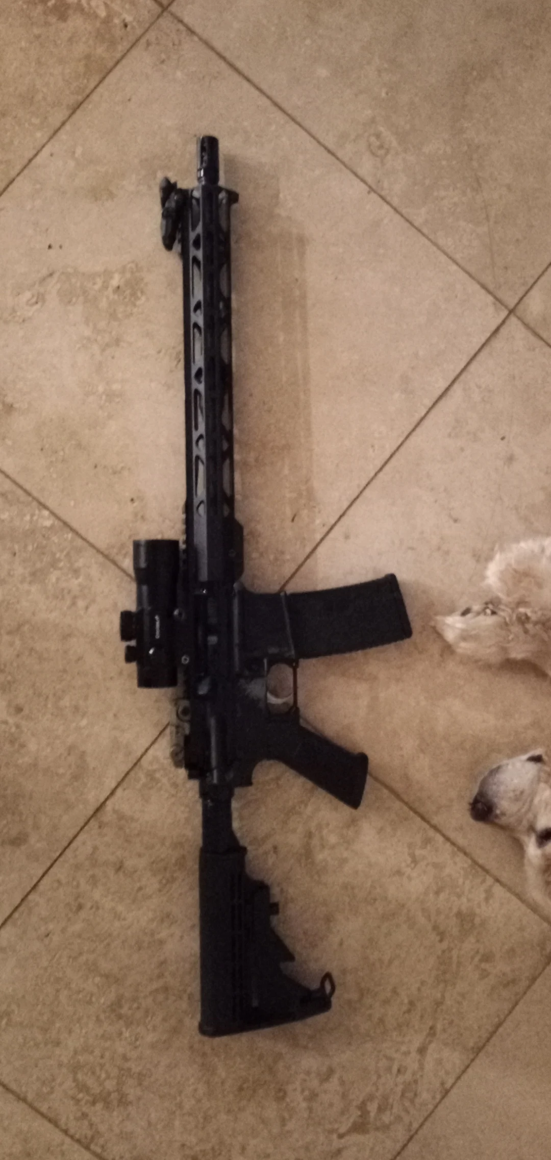 Budget build | Scrolller