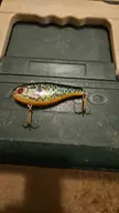 What lure is this? | Scrolller