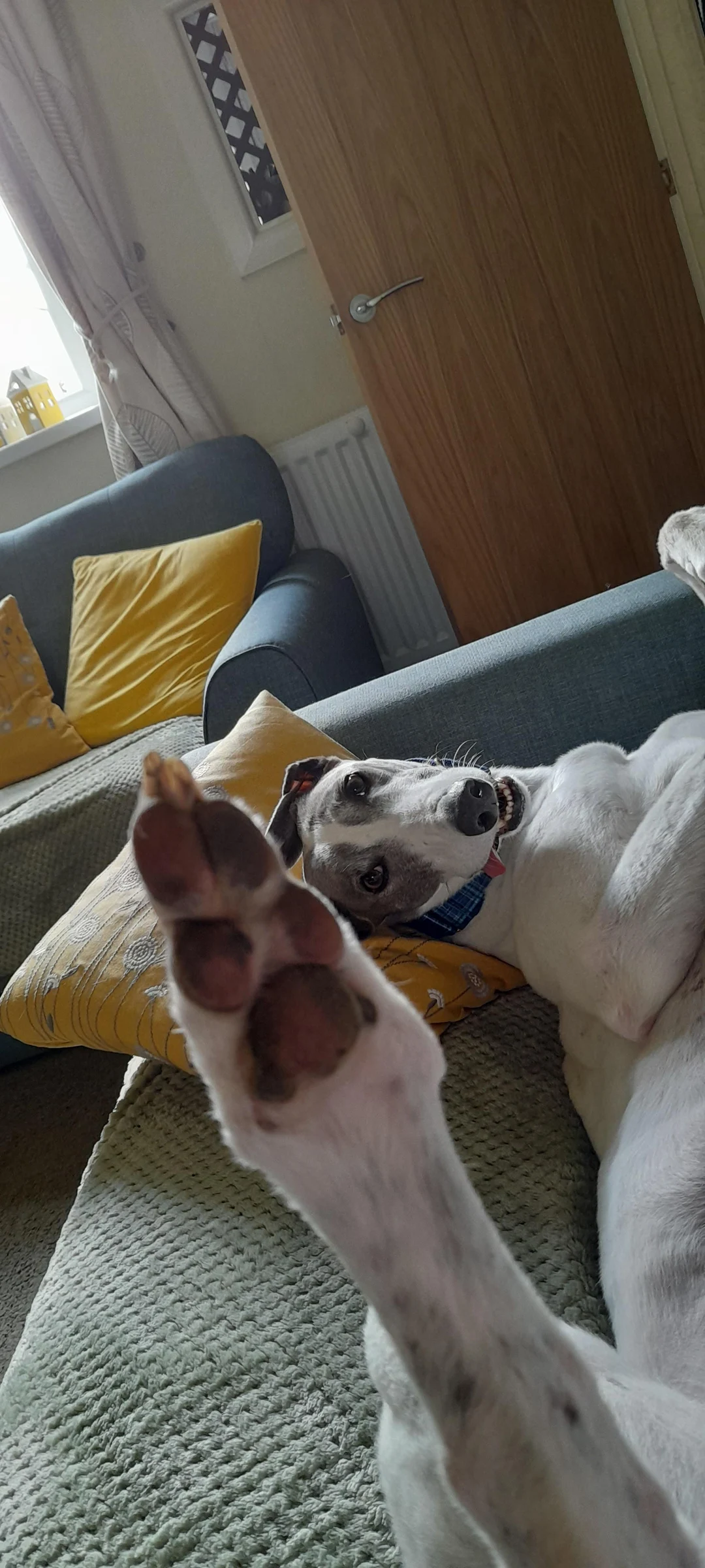 casually getting kicked every day by this | Scrolller