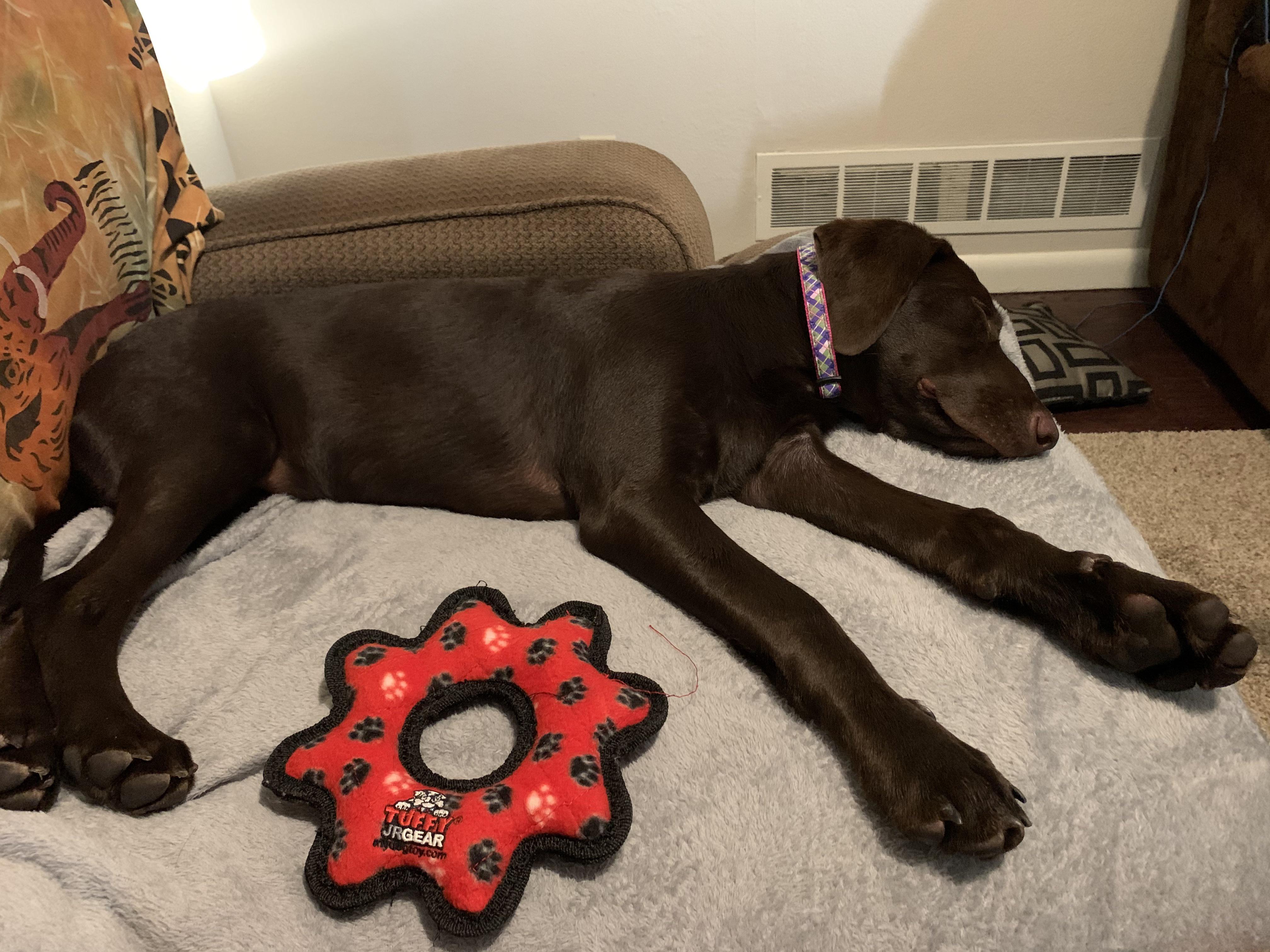 Total Serenity | Scrolller