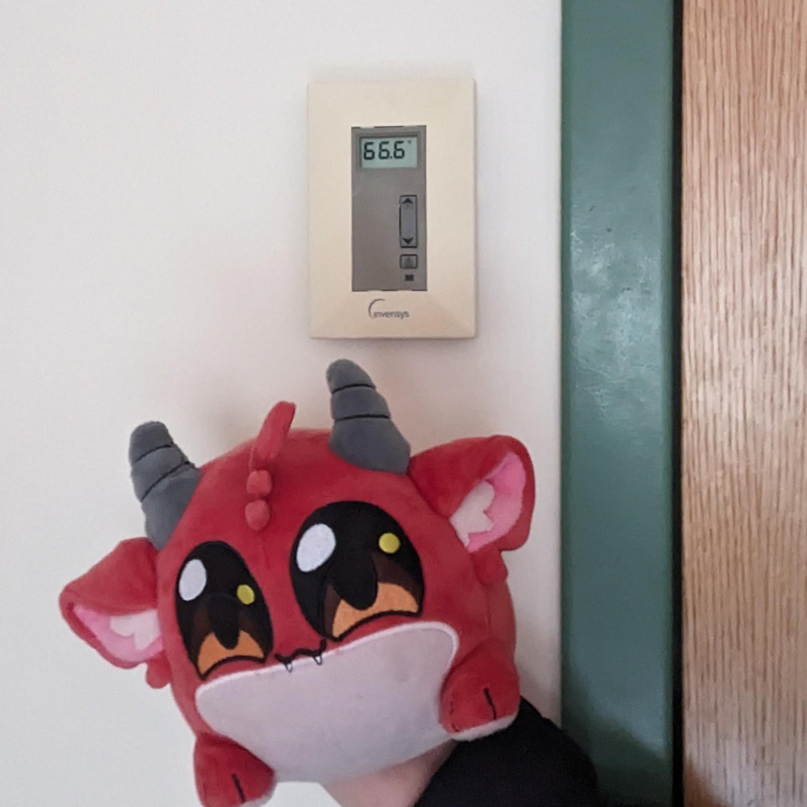 Perfect Temperature | Scrolller