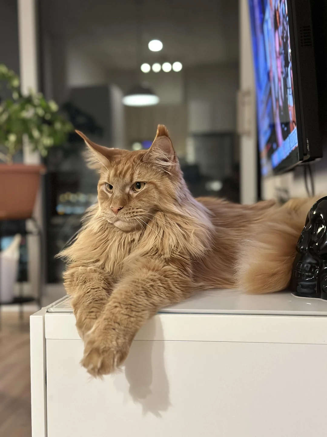 Growing up so fast | Scrolller