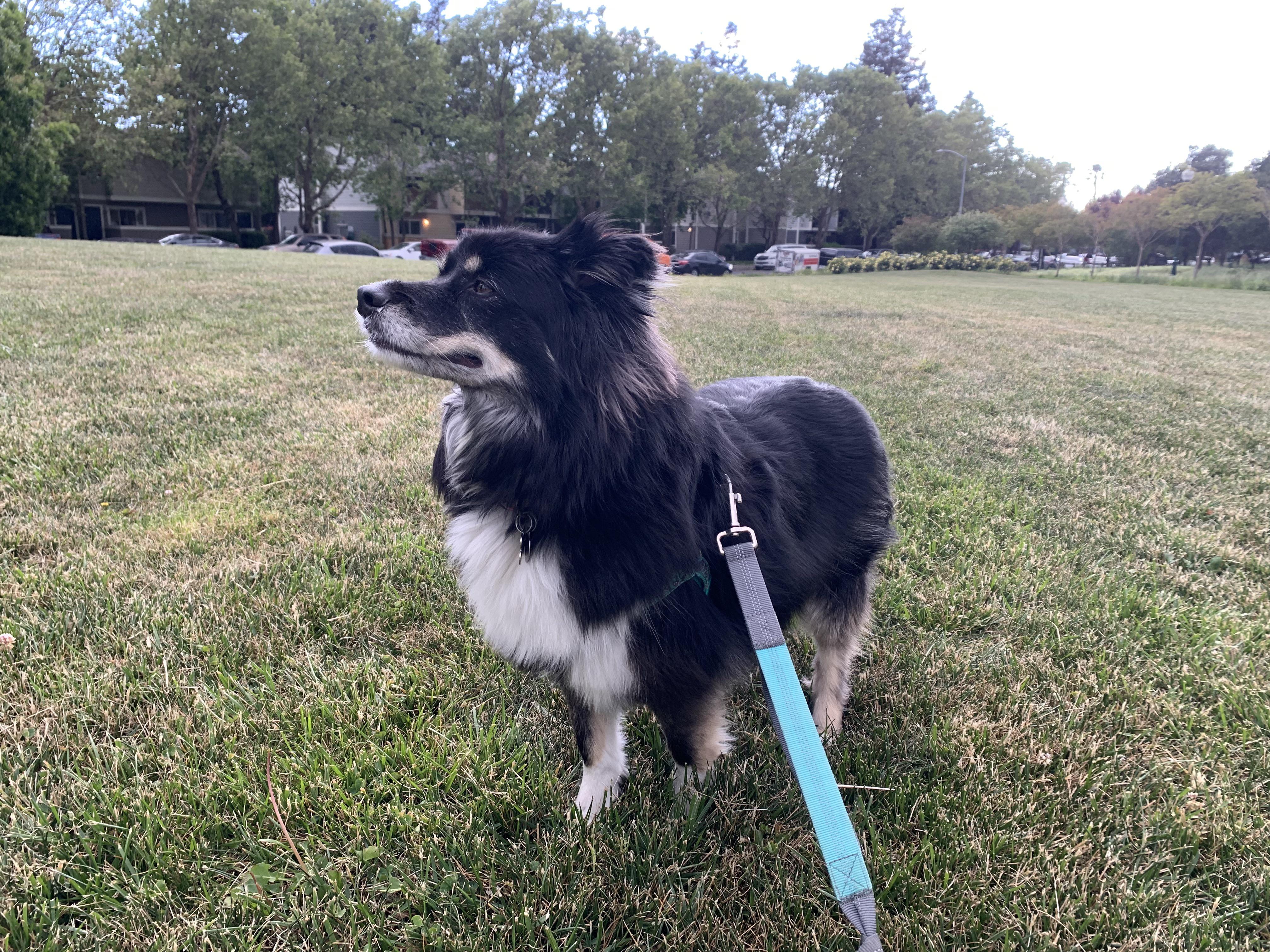 Majestic in the face of thunder. | Scrolller