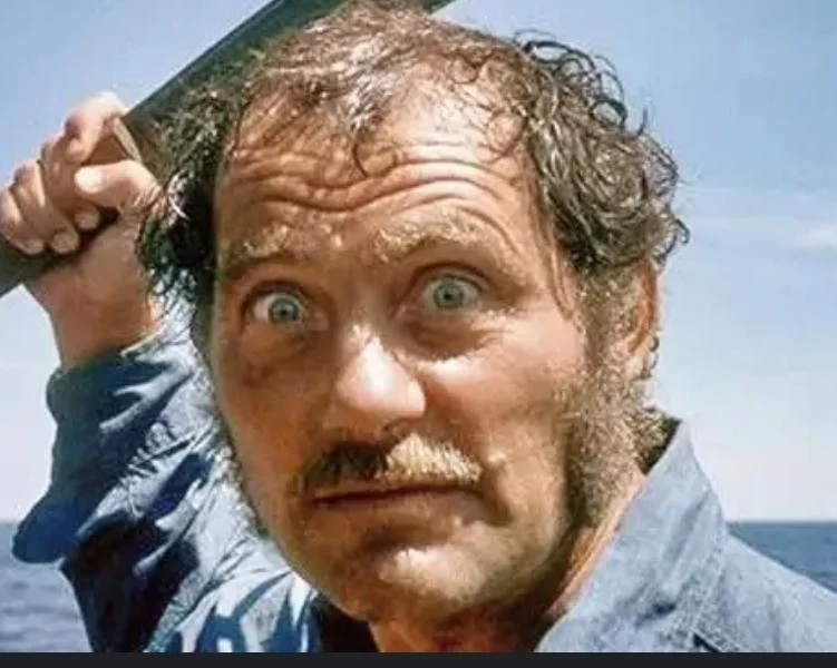 In Jaws.. | Scrolller