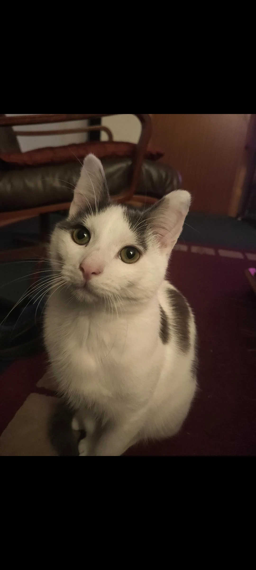 Dave, handsome. Just saying.... | Scrolller