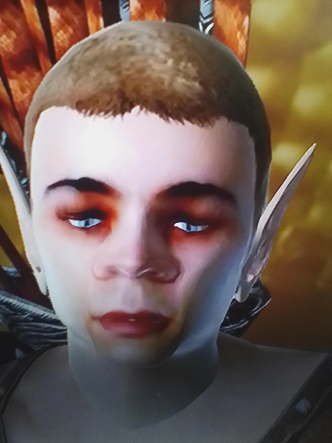 Meet Yudall the sad Bosmer (Wood Elf) | Scrolller