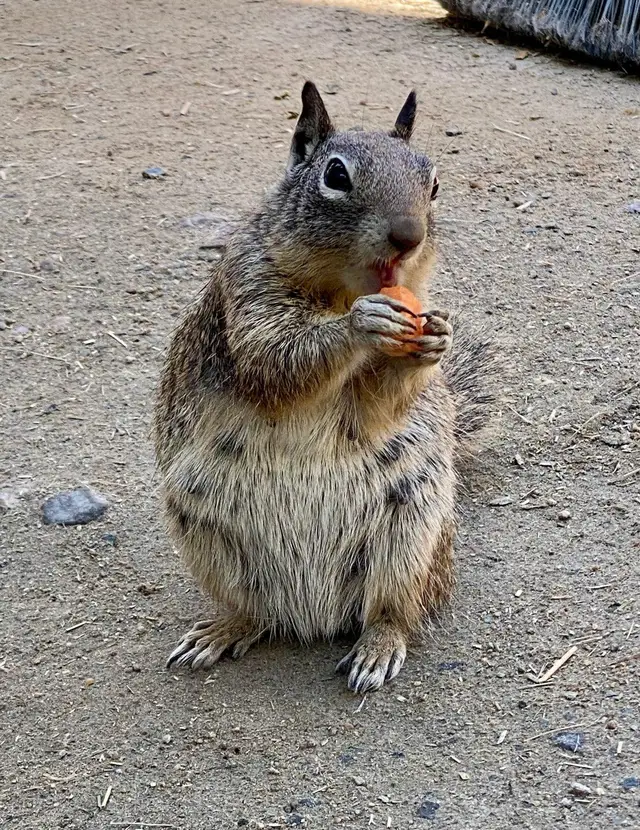 Happy mama | Scrolller