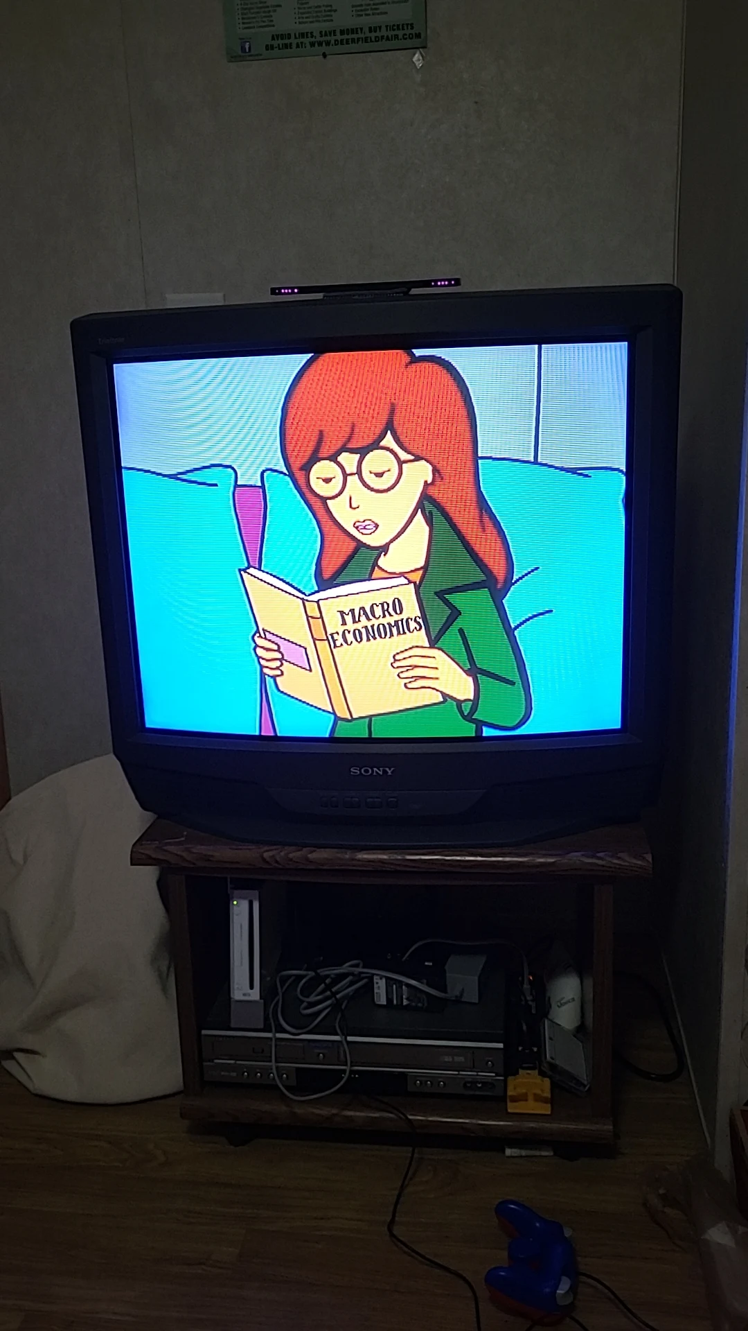 Watching Daria on my trinitron via my dvd player | Scrolller