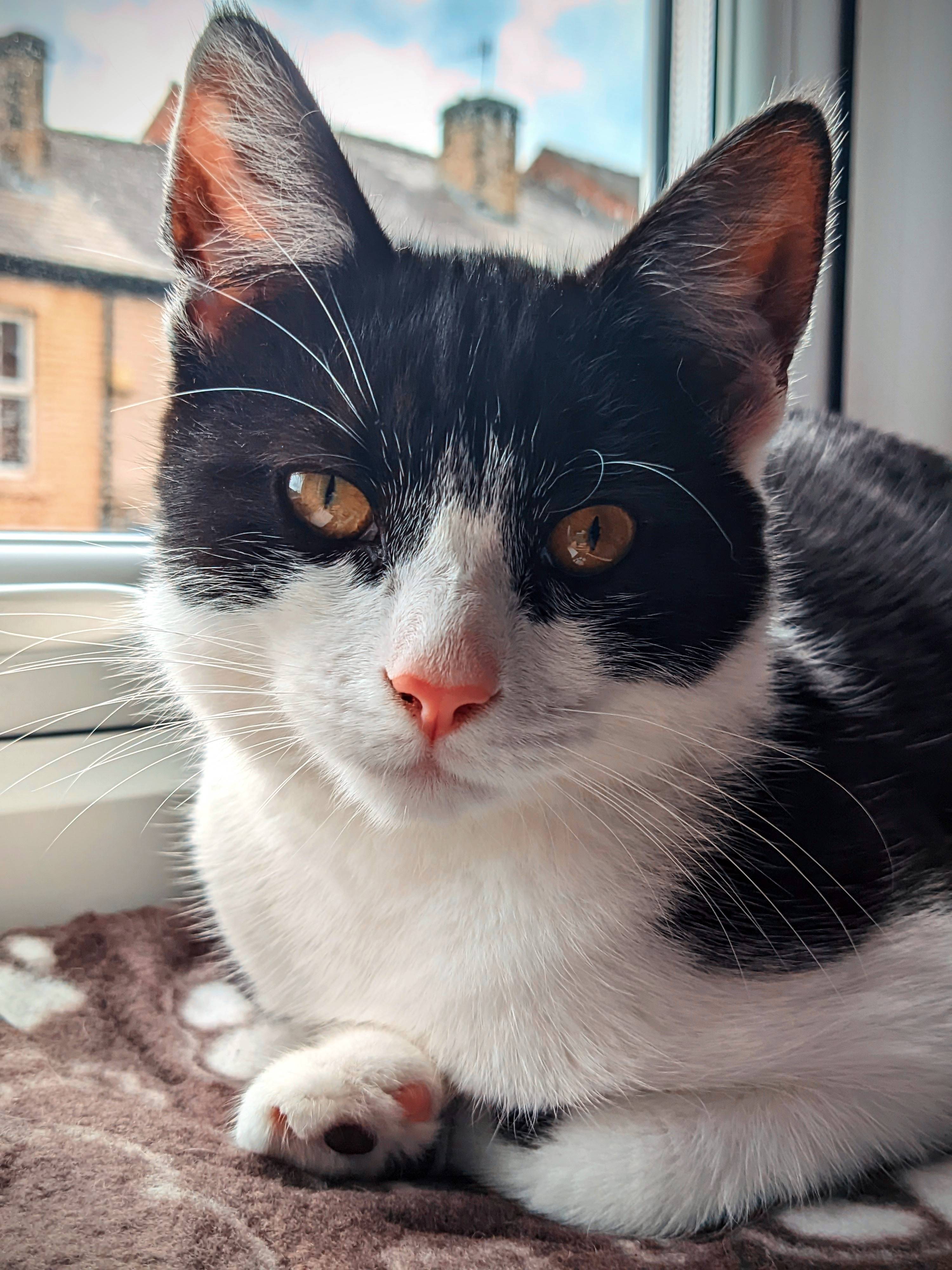 Smash like for Gary 😎 | Scrolller