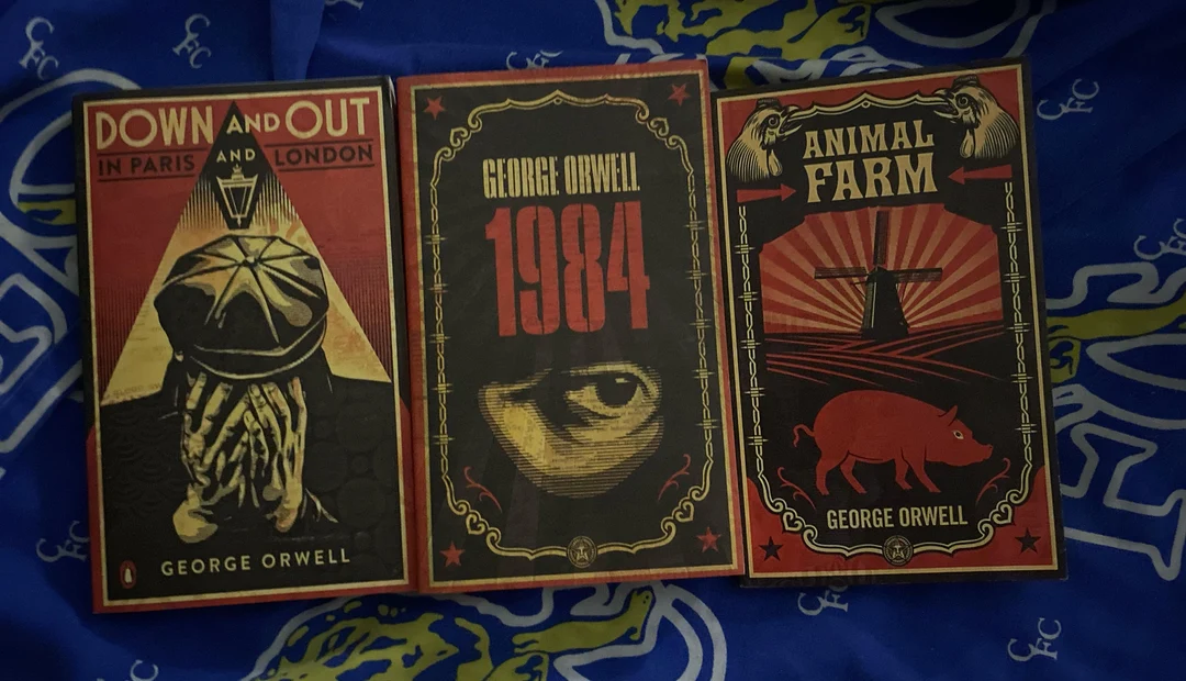 Quality find! | Scrolller